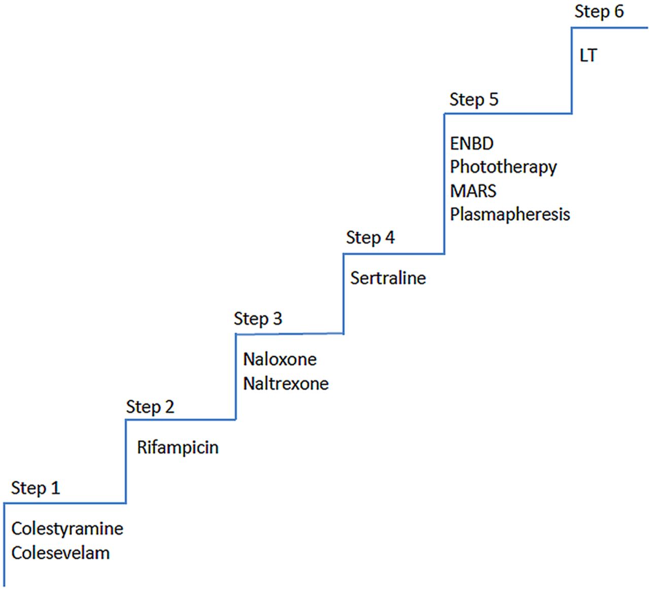 A systematic approach to the management of cholestatic pruritus in ...